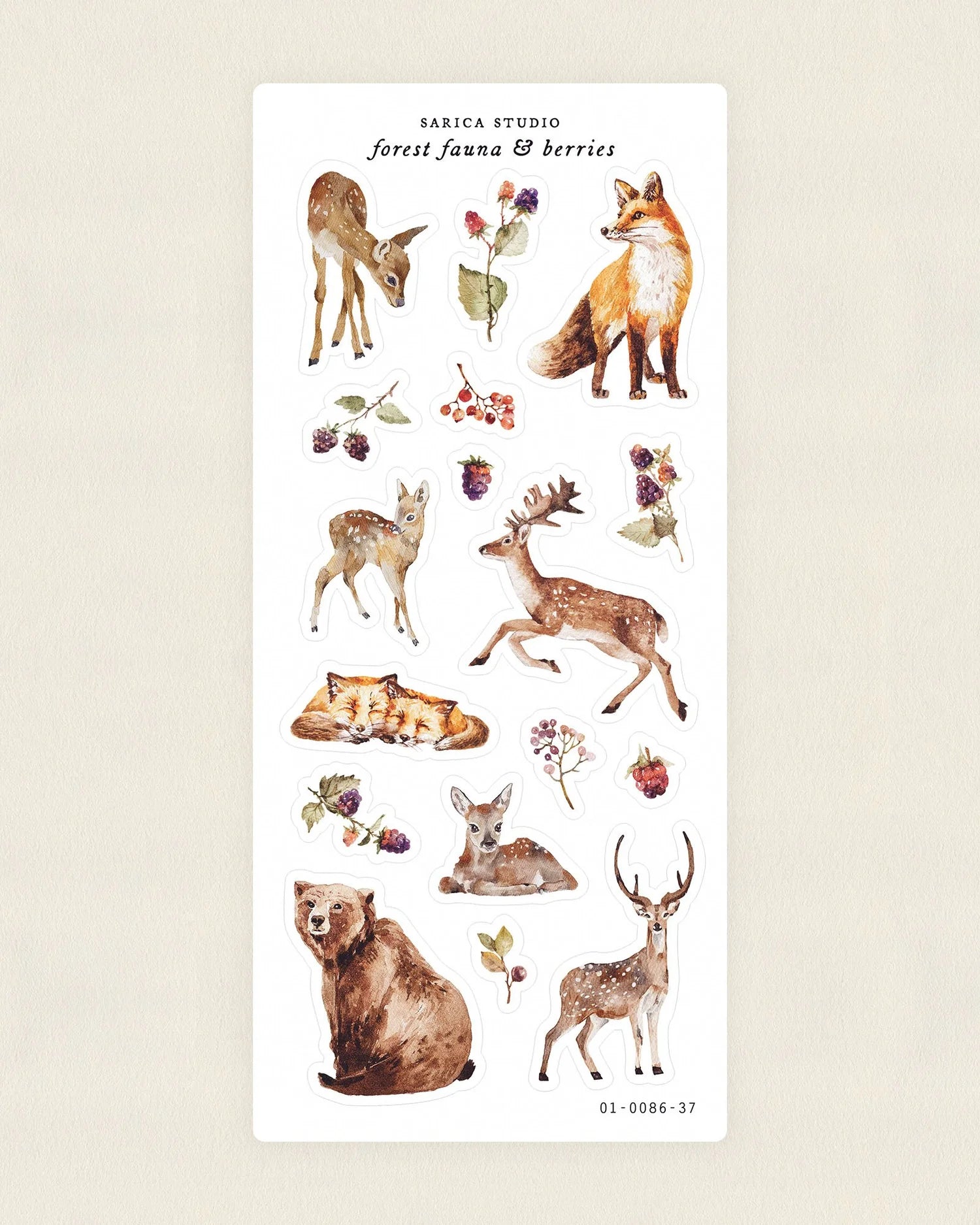 Forest Fauna & Berries Sticker – Soe & Soe