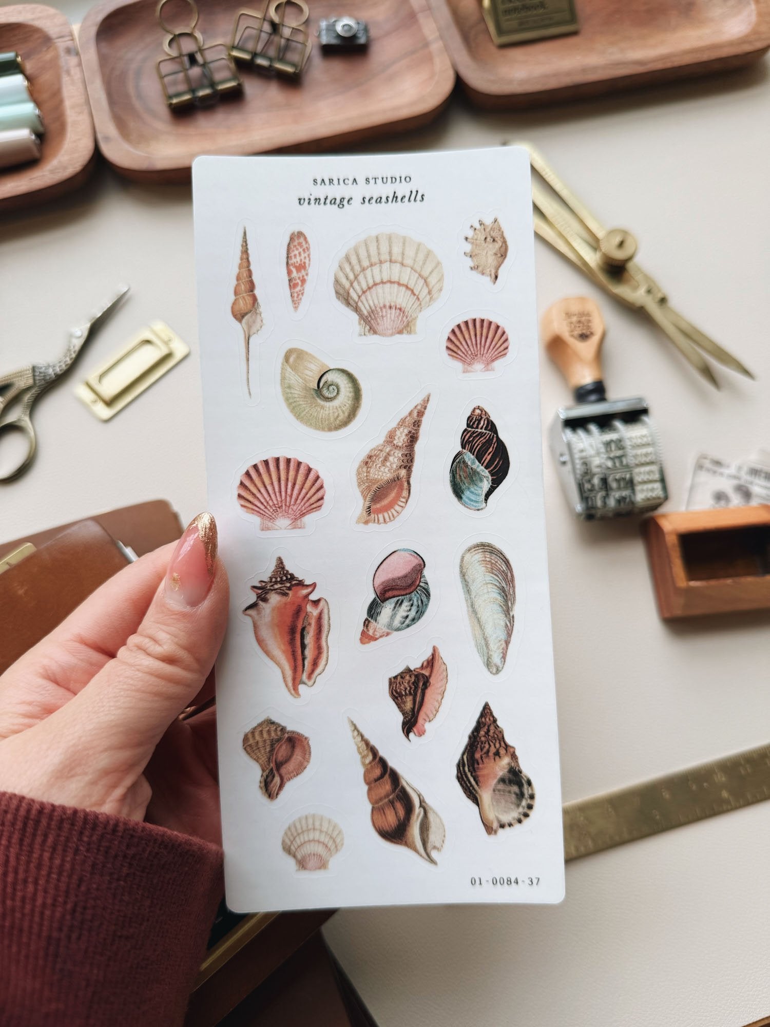 Vintage Seashells Stickers – Soe & Soe